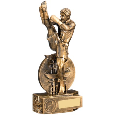 Kickboxing Trophy High Kick Gold Figure Martial Arts Award Free ...
