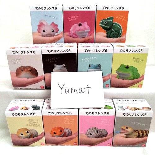 Tenori Friends Ver.6 Reptile 11 Figure Complete Set BANDAI Animal ...