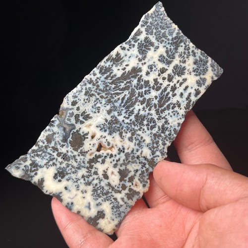 Dendritic Moss Agate Slab, Large | eBay
