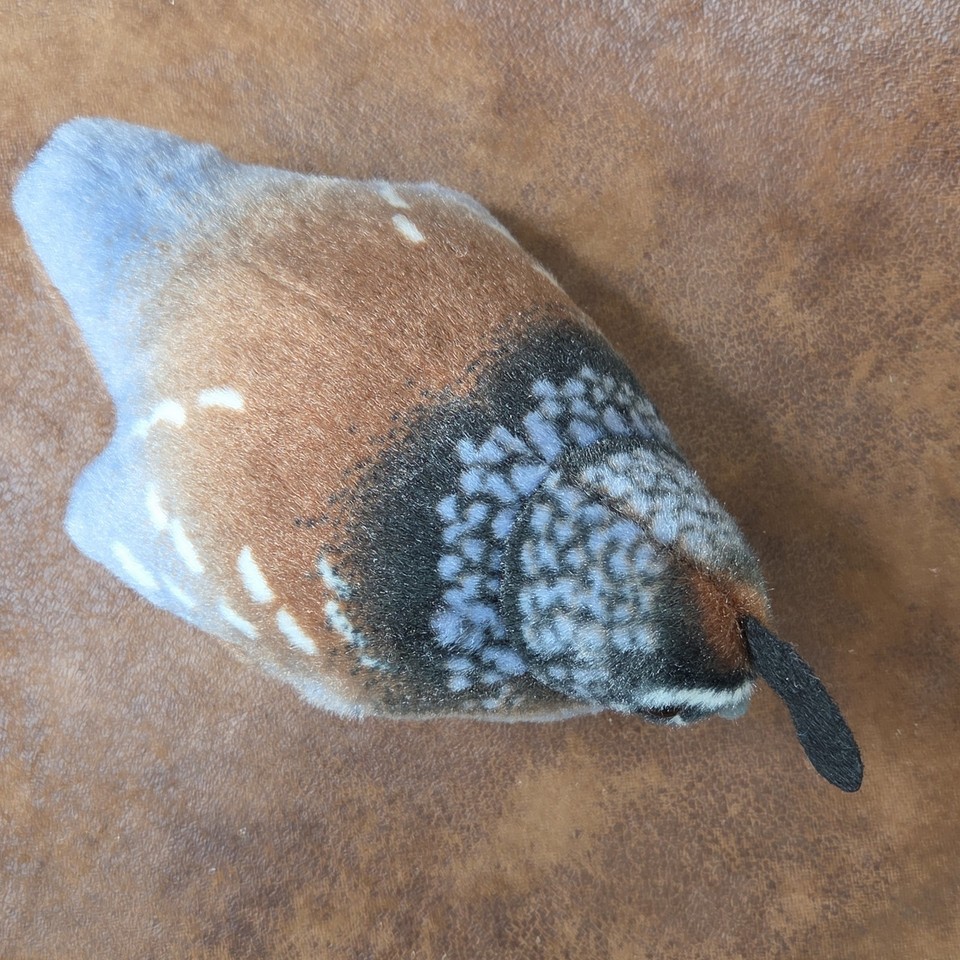 CALIFORNIA QUAIL Audubon Bird PLUSH stuffed animal Wild Republic | eBay