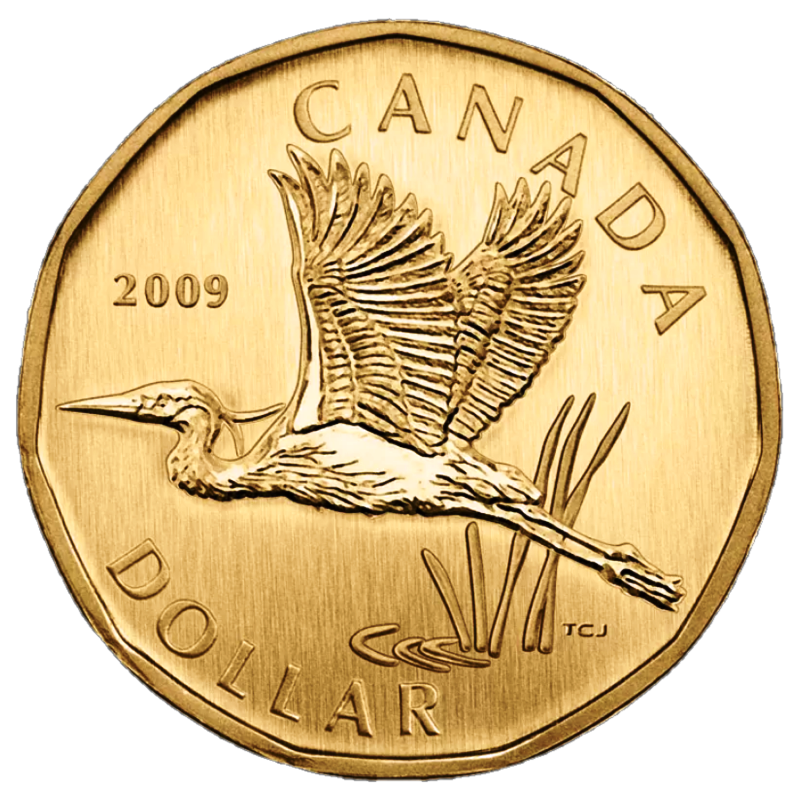 🇨🇦 Rare Canada $1 One Dollar Loonie Coin, Birds, Great Blue Heron, 2009 ...