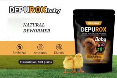 🐥Powder Dewormer For Chick🐥Desparasitante Natural Para Pollitos 300 g ...