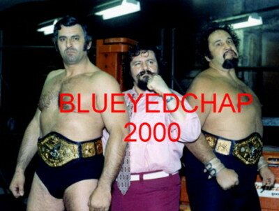 BARON SCICLUNA-LOU ALBANO & CURTIS IAUKEA WRESTLER 8 X 10 WRESTLING ...