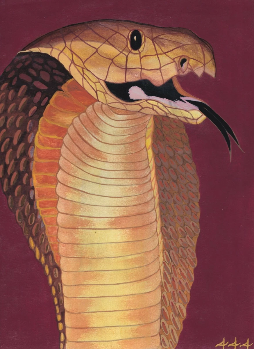 Cobra Snake Painting