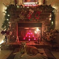 Omega Paper Collectibles | eBay Stores