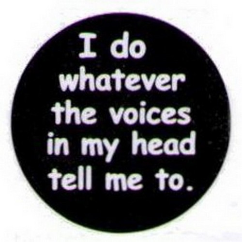 I Do Whatever The Voices In My Head Tell Me Button HB287 | eBay