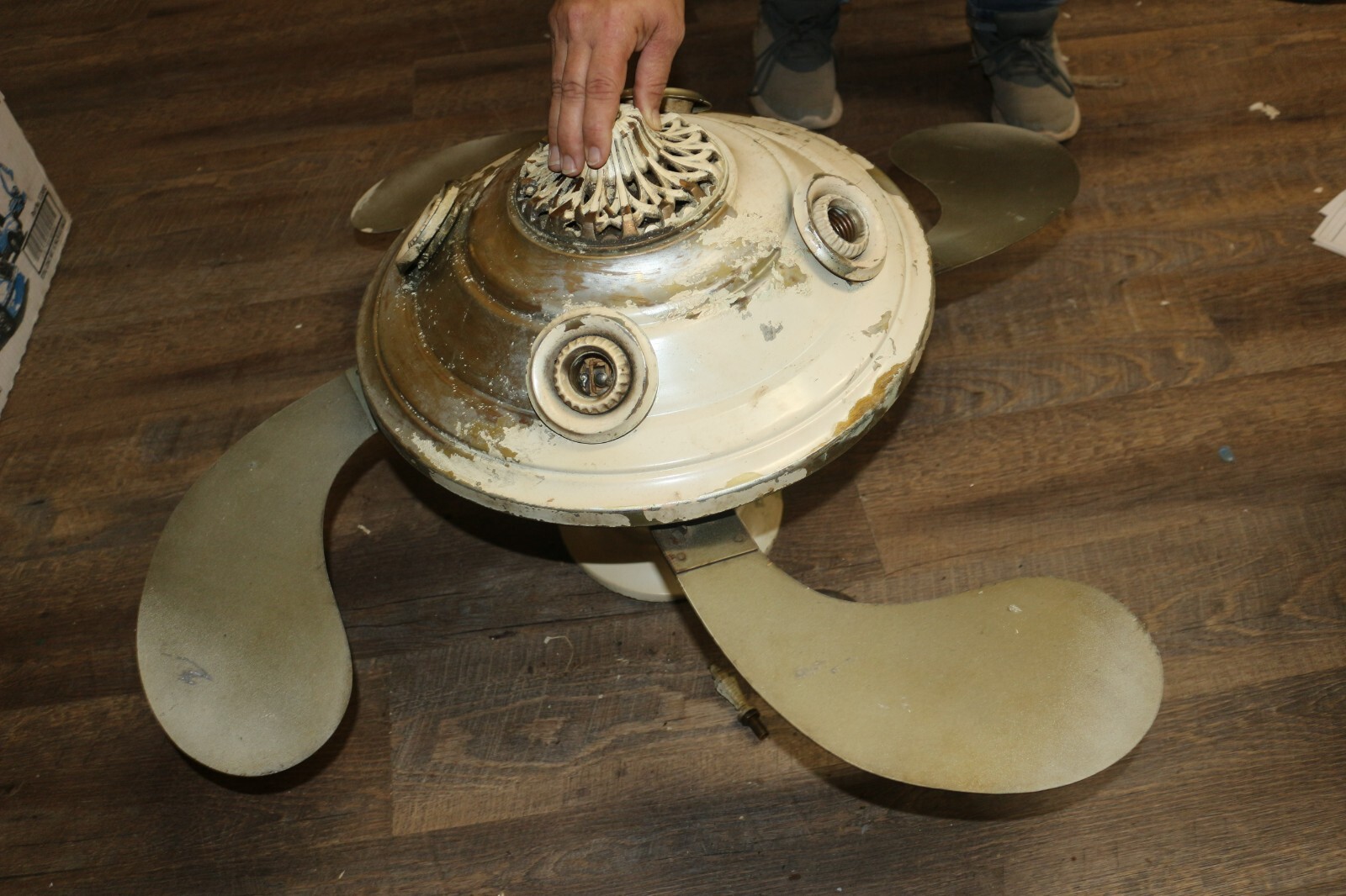 Antique 1920's Levelle Retractable Birdwing Ceiling Fan Chandelier ...