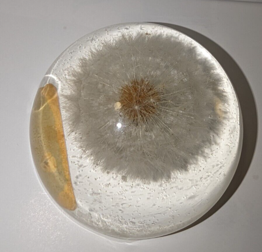 Vintage W. Rolfe Signed Dandelion Puff in Lucite Paperweight - 1960’s ...