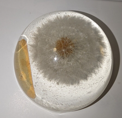 Vintage W. Rolfe Signed Dandelion Puff in Lucite Paperweight - 1960’s ...