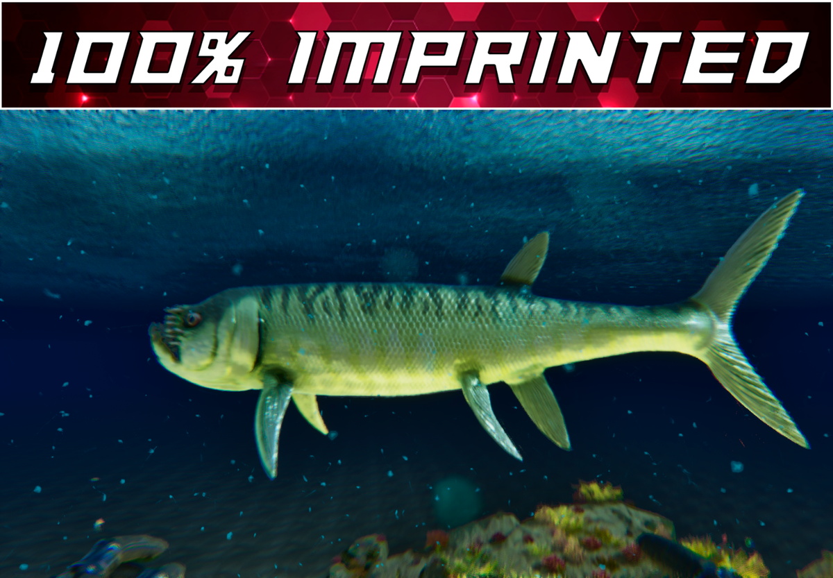 Xiphactinus Computer Wallpapers Desktop Xiphactinus | Dinosaur Alive