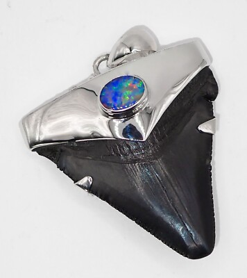Fossil Shark Tooth Pendant – Megatoothed Otodus with Silver Cap and ...