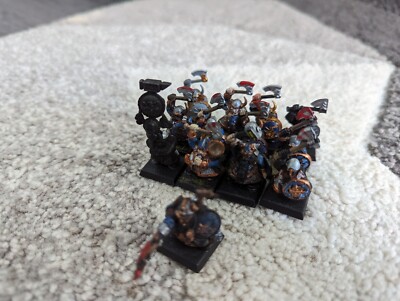 Dwarf Warriors (x12) Inc Command Skull Pass Warhammer Fantasy Old World ...