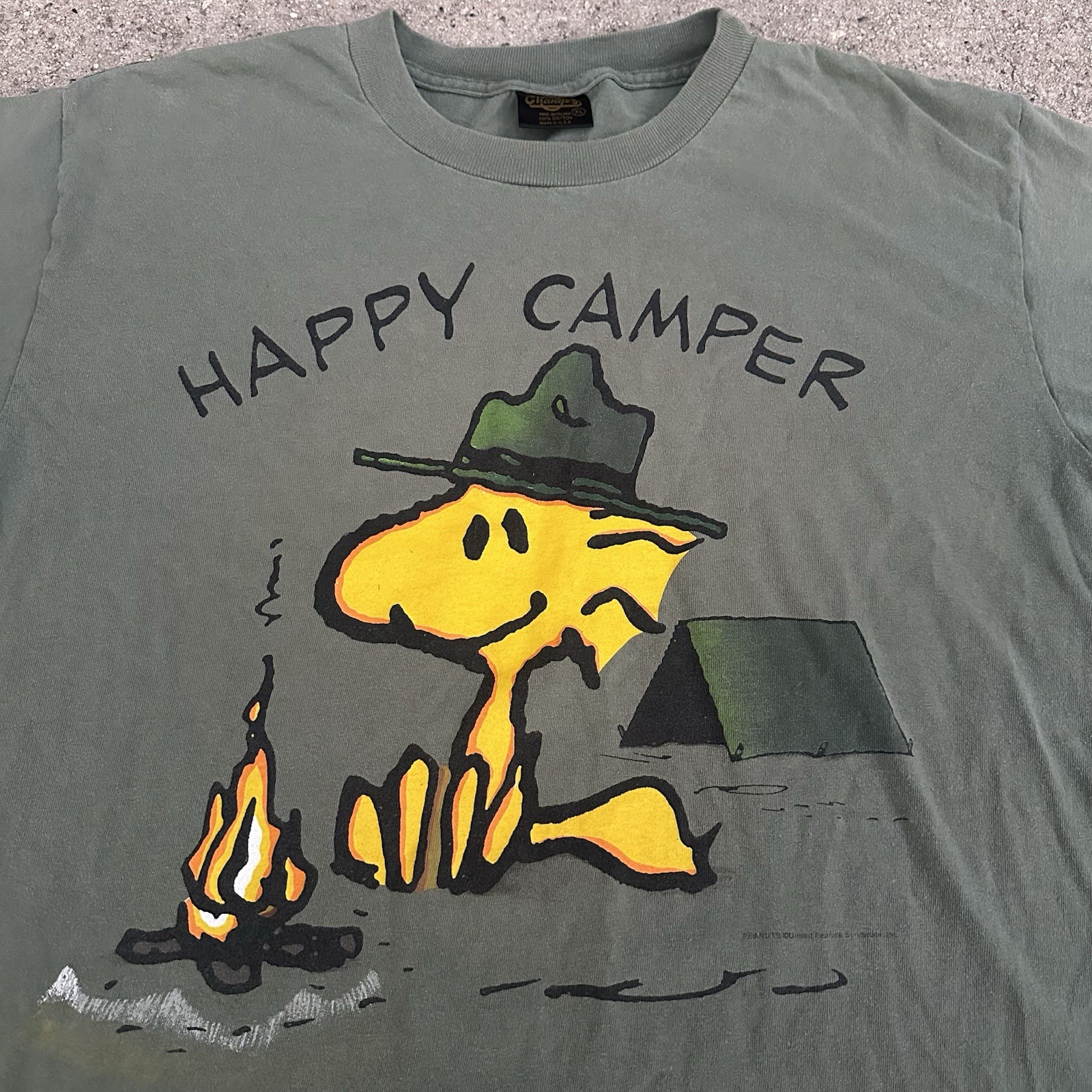 Vintage 90s Changes Peanuts Snoopy Woodstock Happy Ca… - Gem