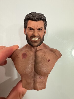 Eleven 11 Wolverine Angry Logan 1/6 Scale Action Figure Head Sculpt and ...