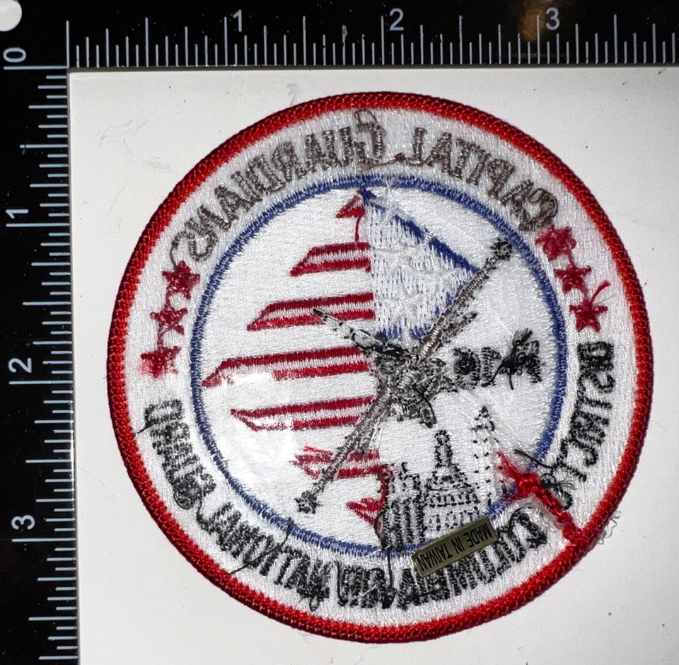USAF 121st Fighter Squadron F-16 DC ANG Capital Guardians Patch | eBay