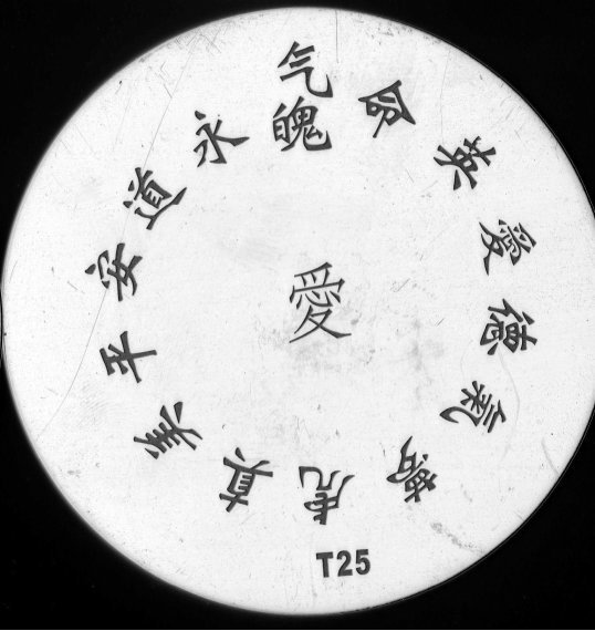 T Stamping Series Nail Art Image Stamp Template Plate 1 | eBay