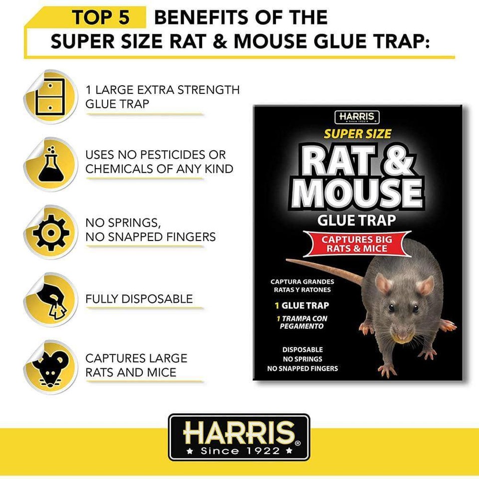 Harris Rat and Mouse Glue Trap Super-Size Easy to Use Fully Disposable ...