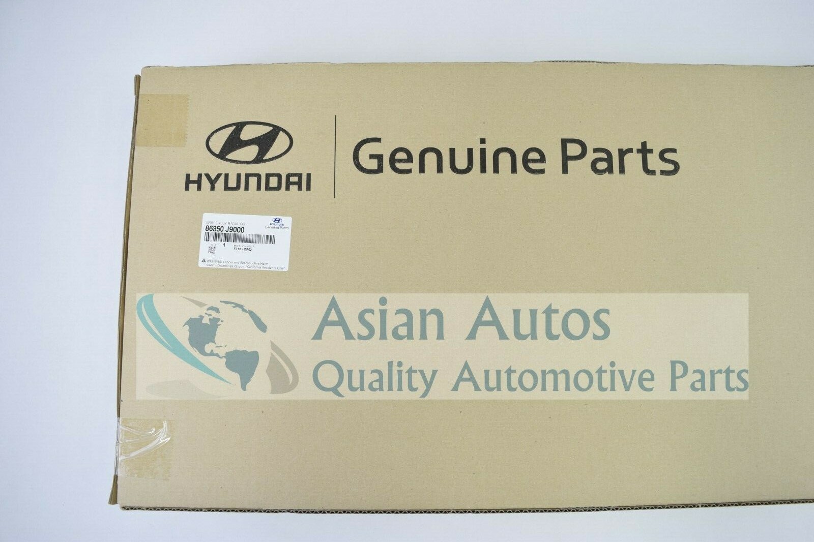 Genuine Hyundai Kona 18-21 Front Bumper Radiator Grille 86350J9000 OEM ...