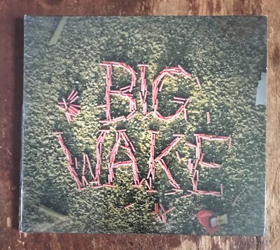 Big Wake (Gerry Rosenthal Eitan Levine) w/In Wisconsin & Good Neighbors ...