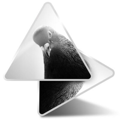 2 x Triangle Stickers 7.5cm - BW - ny Pigeon Boss Bird Racing #36944 ...