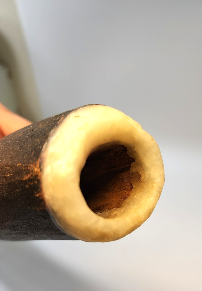 Authentic Aboriginal Didgeridoo Purchased In The Blue Mountains ...