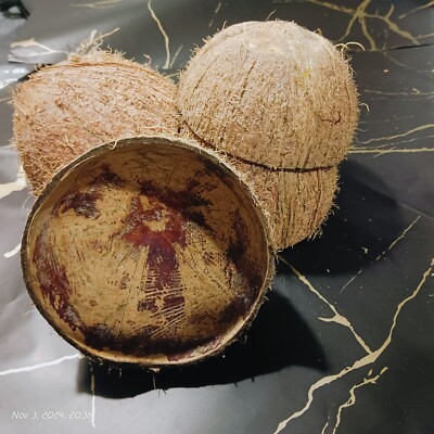 eco friendly coconut shell & multi-purpose ingredients when burned 100% ...