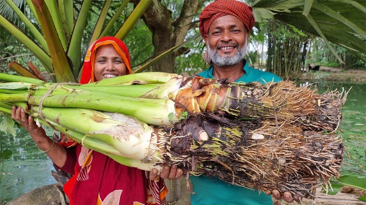 Large Fresh Taro Puerk Eddoe Root Vegetable Thailand Elephant Ear ...