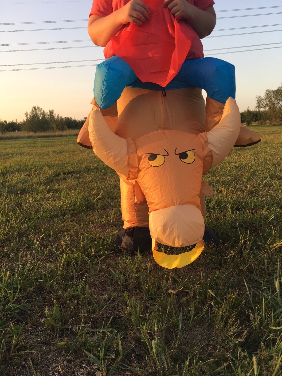 Rubie’s Fun Inflatables Adult Size Halloween Costume Bull Rider Matador ...