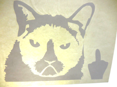 Grumpy Cat Middle Finger