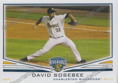 2017 Charleston RiverDogs David Sosebee RC Rookie NY Yankees | eBay
