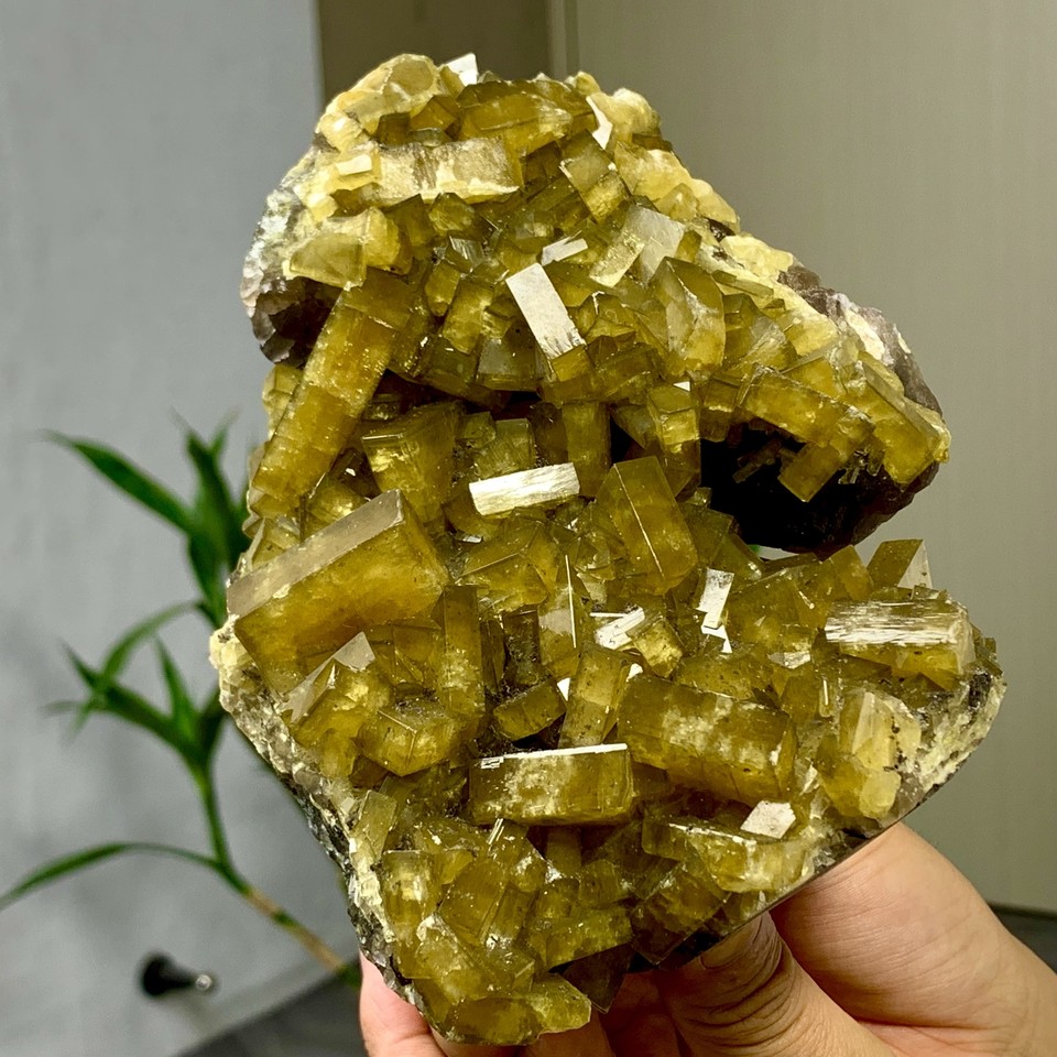 4.27LB Shiny Golden Cuboid Barite Crystal Based on the Purple Spherical ...