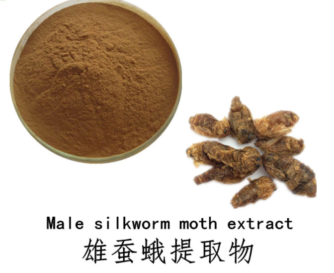 500g Male silkworm moth extract 20:1 powder | eBay Australia