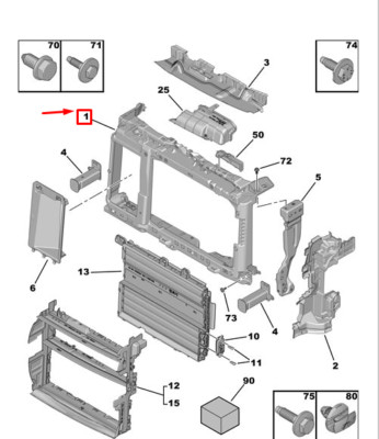 PEUGEOT 208 MK2 P21 Front Frame Face 9823719380 New Genuine | eBay UK