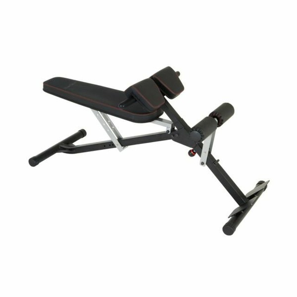 Fitness Reality 2860 Abdominal Back Extension Bench for sale online | eBay