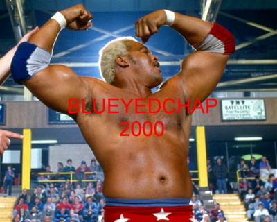 BUTCH REED WRESTLER 8 X 10 WRESTLING PHOTO WWF WCW | eBay