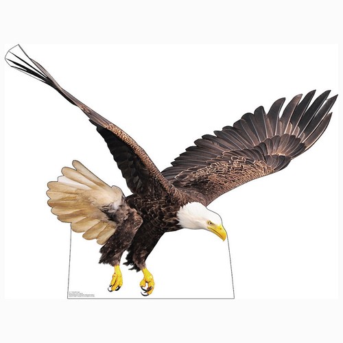 BALD EAGLE CARDBOARD CUTOUT Standee Standup Poster Prop Flying Bird of ...
