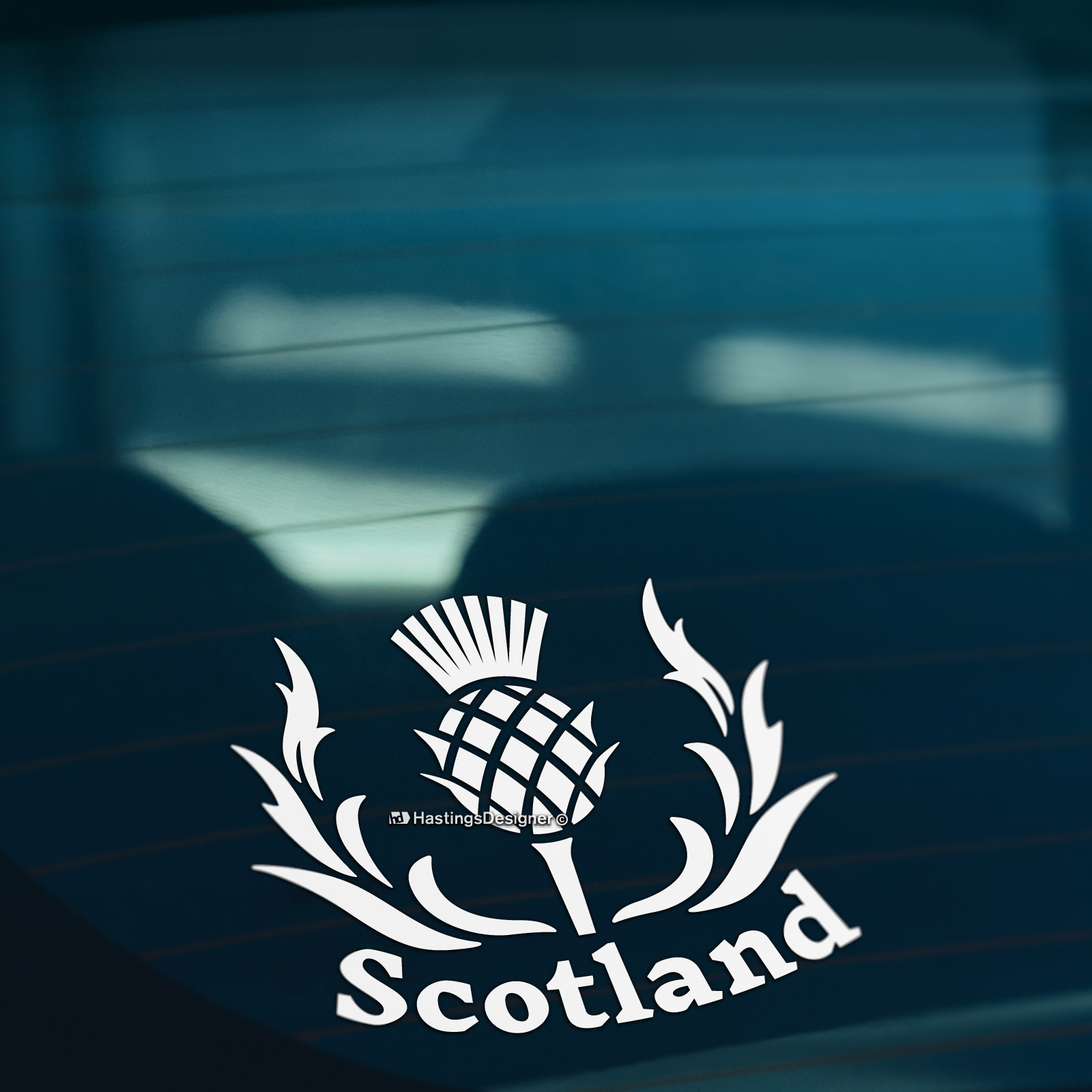 SCOTLAND SCOTTISH THISTLE Car Van Window Bumper or Laptop Vinyl Decal ...