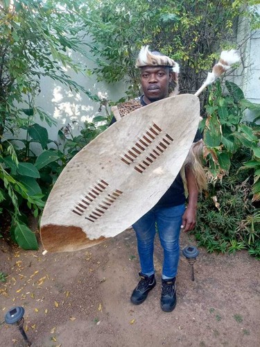 XL Zulu Shield Set Brown White Isihlangu with Handle Amashoba Mbata ...