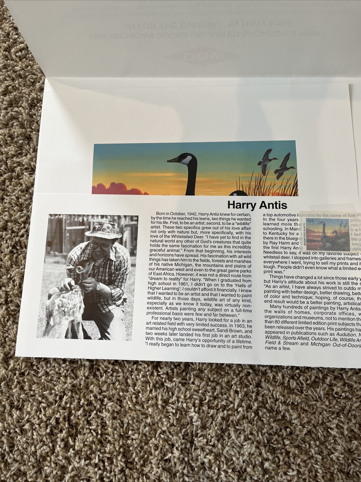 1994 Michigan Duck Stamp Print In for the evening Harry Antis S/n ...