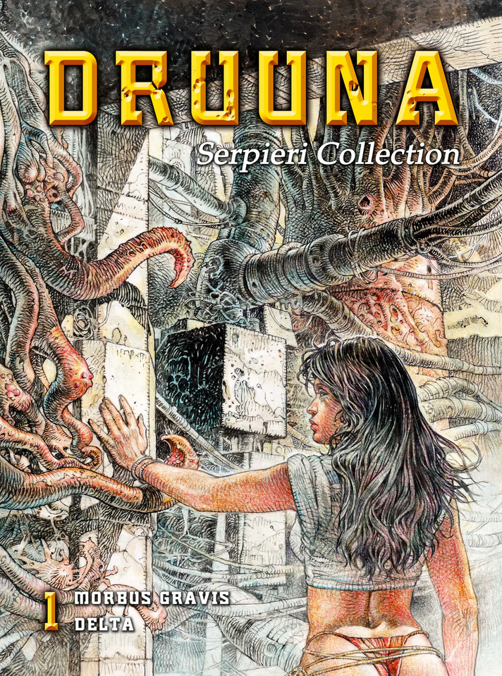 PAOLO ELEUTERI Serpieri - Druuna Anima Preliminar signed cover original ...