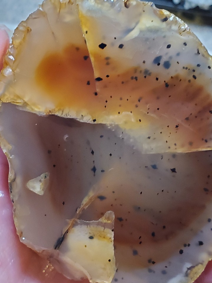 Montana Yellowstone River Agate Rare Sagenite Lapidary 390g Rough ...