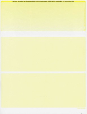 Blank Computer Security Check Paper - Checks on Top (Classic Yellow ...