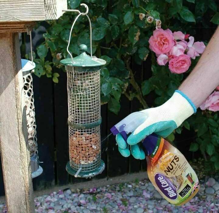 Hot Nuts Squirrel Repellent Spray Hot Nuts Chilli Pest Deterrent ...