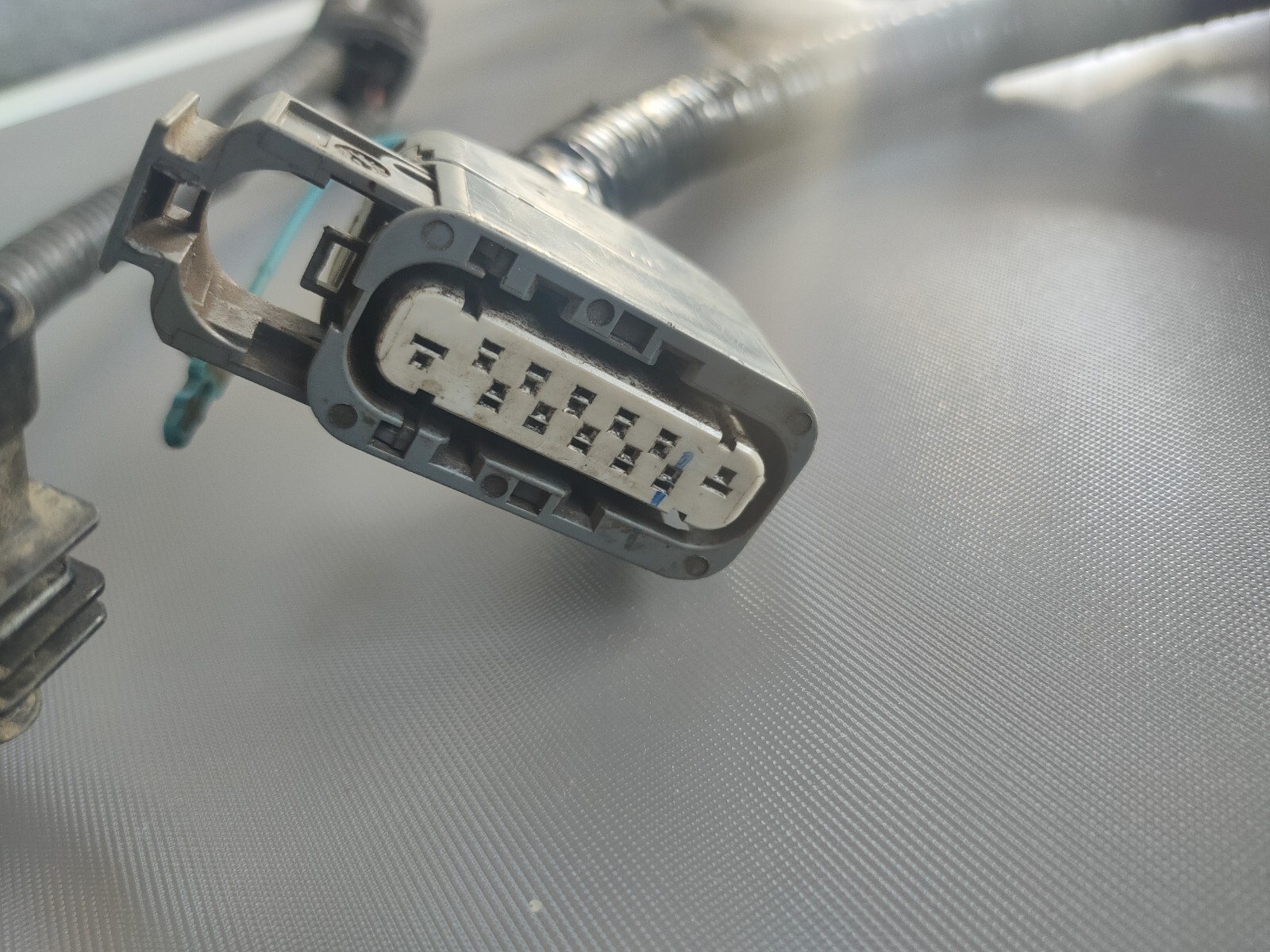 VZ Commodore Transmission Control Module Wiring Harness | eBay