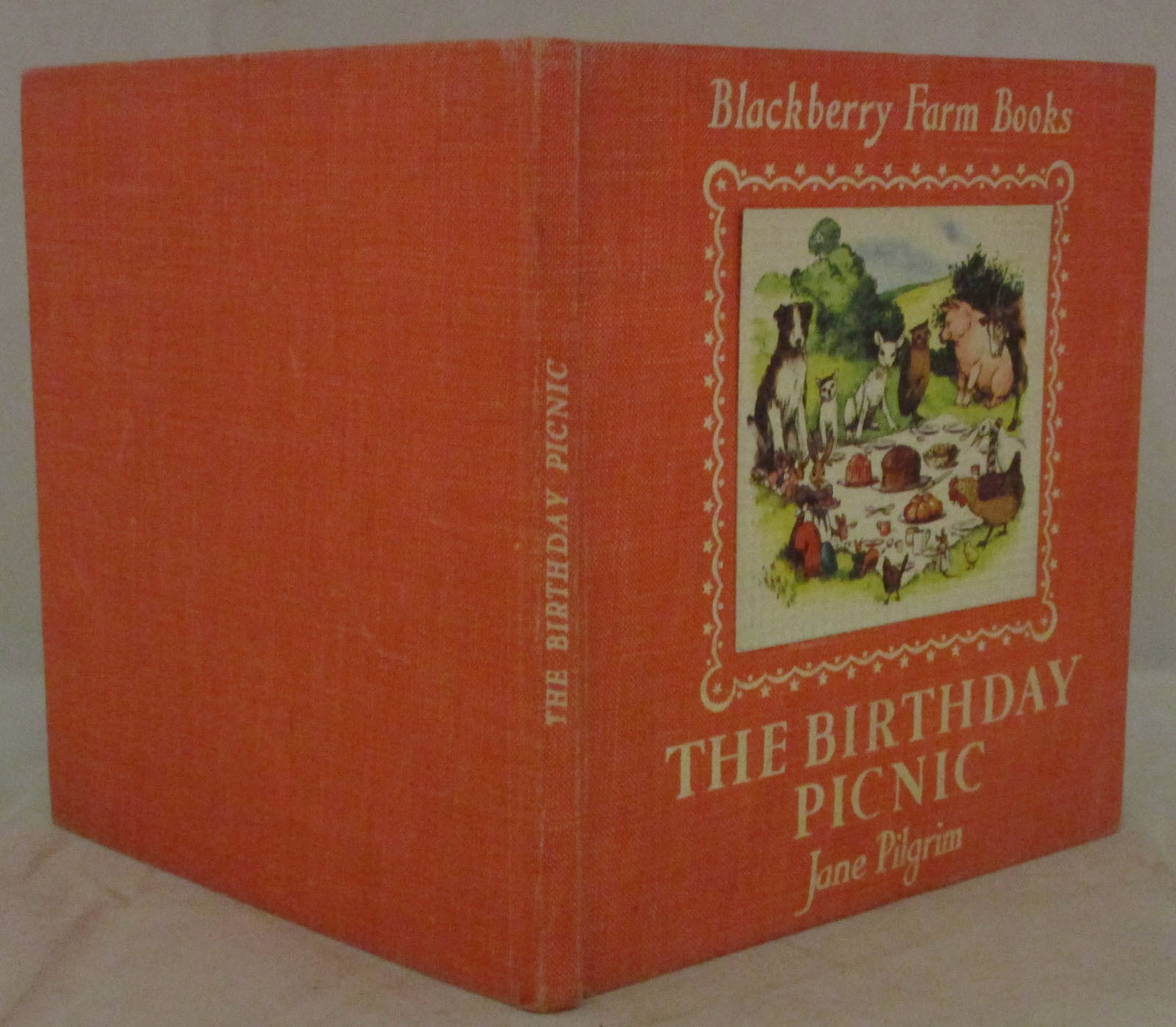 The Birthday Picnic Blackberry Farm Jane Pilgrim HC Circa 1950's Deluxe ...