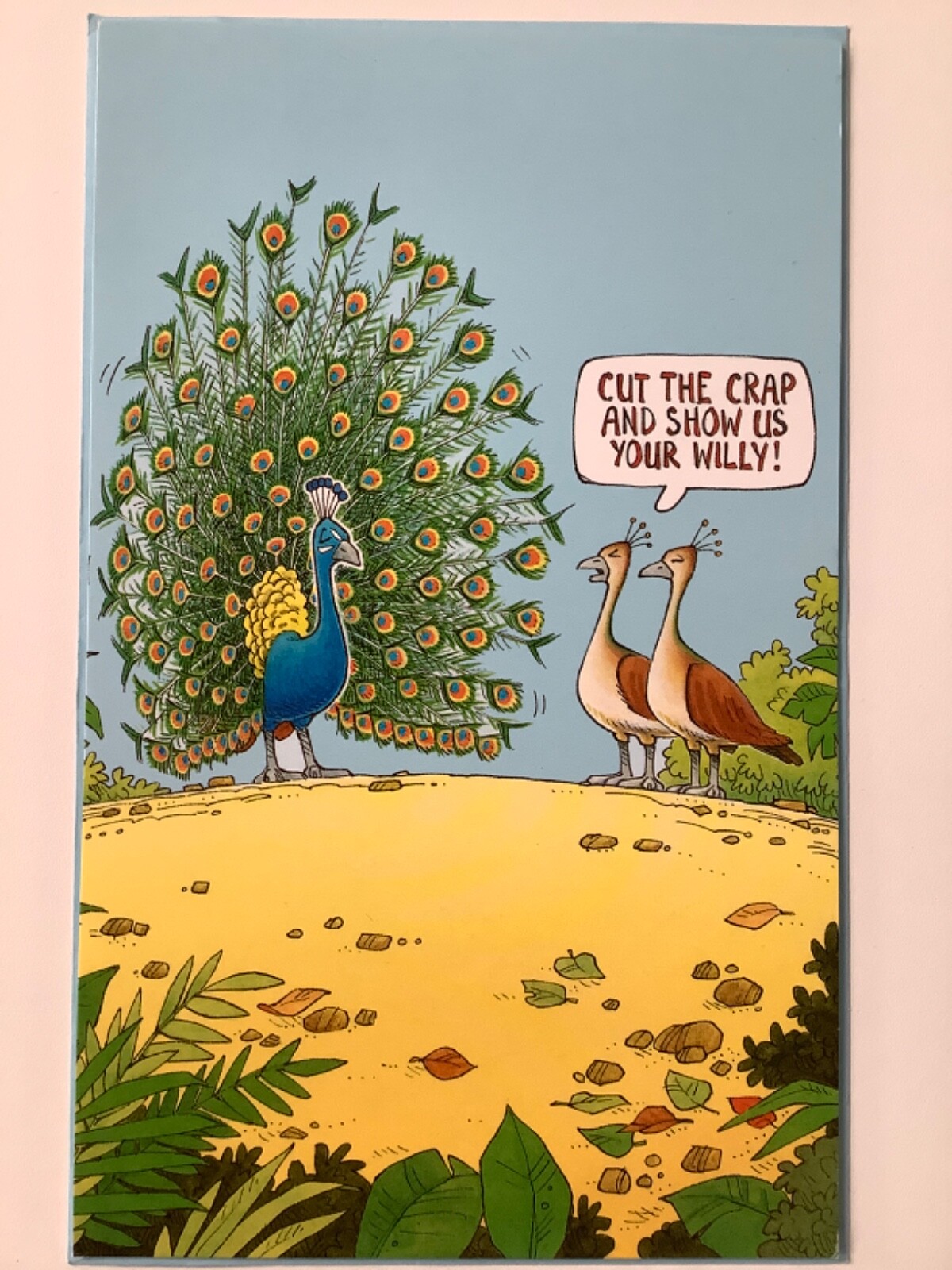 Funny Rude Happy Birthday Cards PACK of 5 cards by Jamie Charteris ...