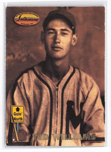 Ted Williams #148 1993 Ted Williams Minneapolis Millers | eBay