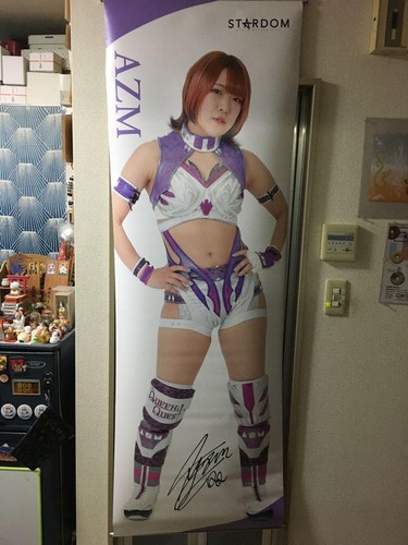 AZM Stardom Life-Size Tapestry Female Wrestler Used | eBay UK