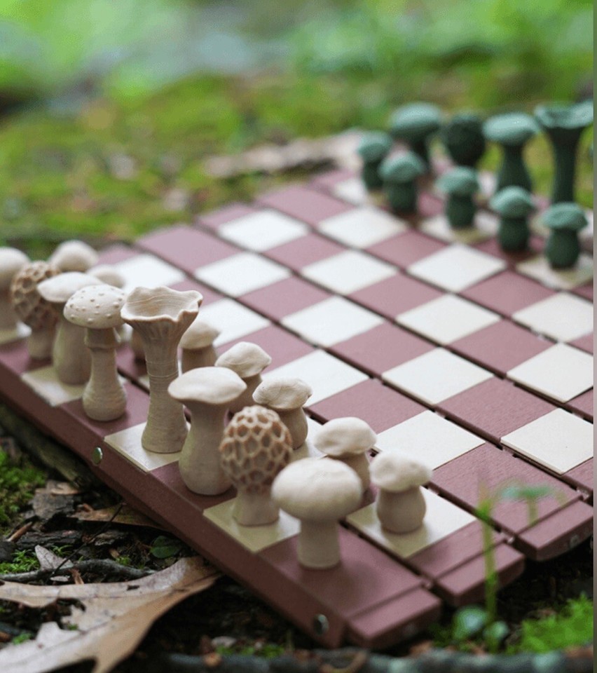 Forest Chess Set - Log and Mushroom Chess Board | eBay