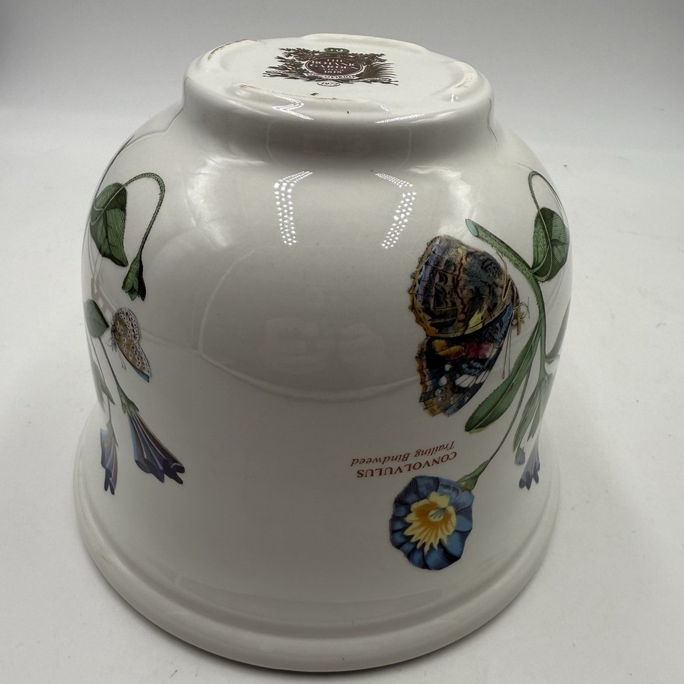 Portmeirion Botanic Garden Convulvulus Trailing Bindweed Ceramic ...